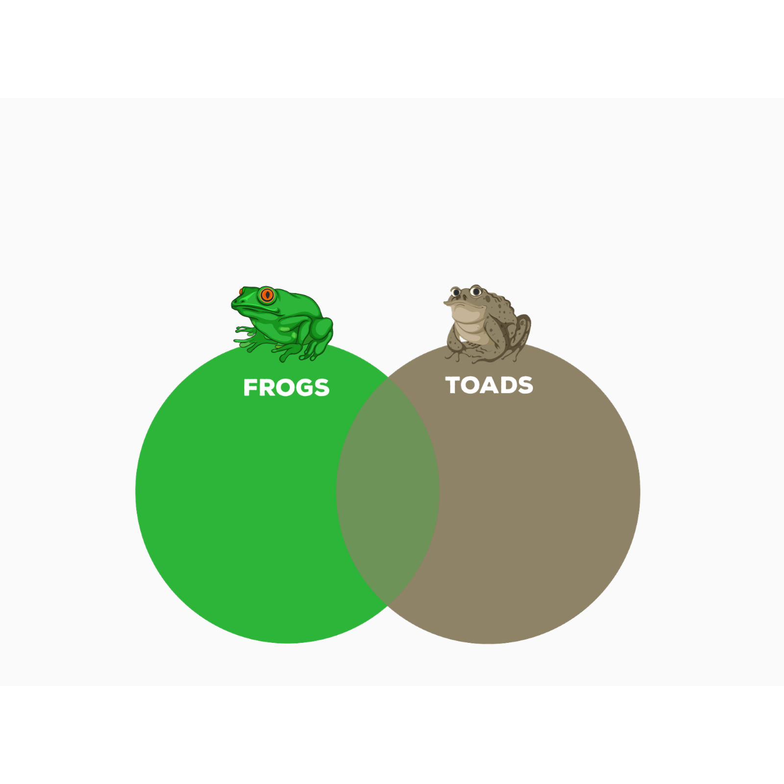 Frog/toad venn diagram | Lucidspark