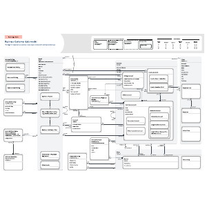 Business Customer data model