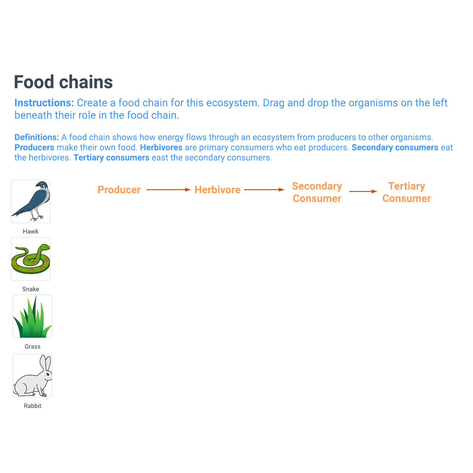Food Chain: Create Your Own