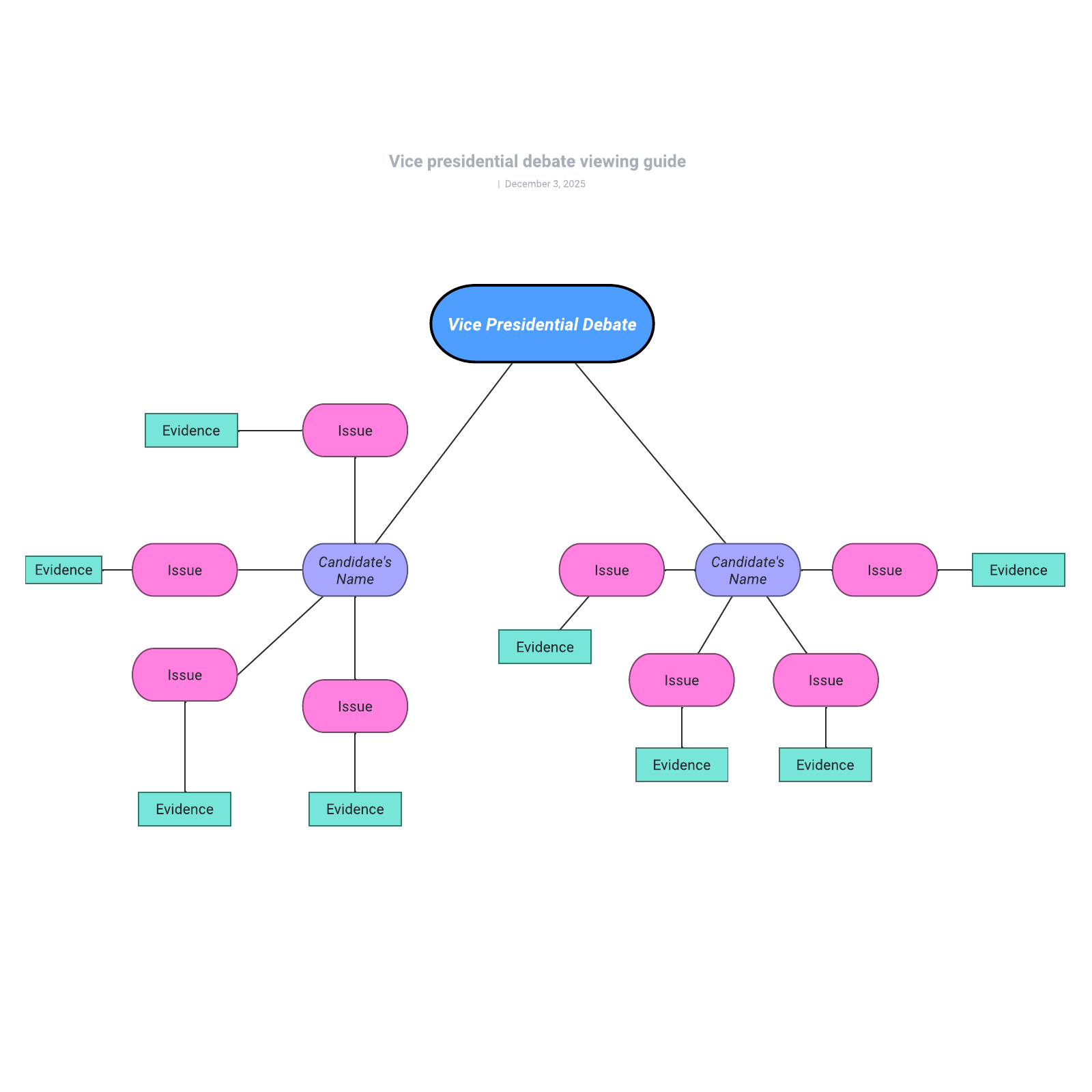 Vice presidential debate viewing guide