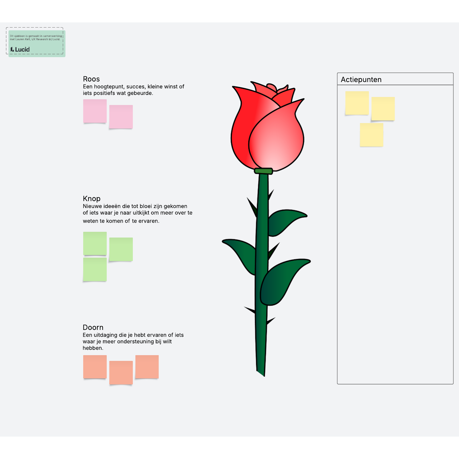 Roos, knop, doornreflectie