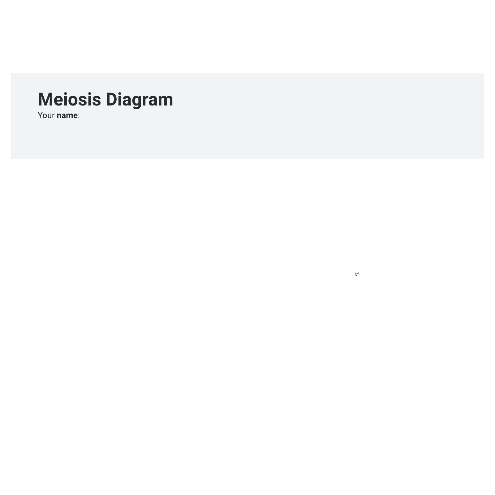 Blank Meiosis Diagram