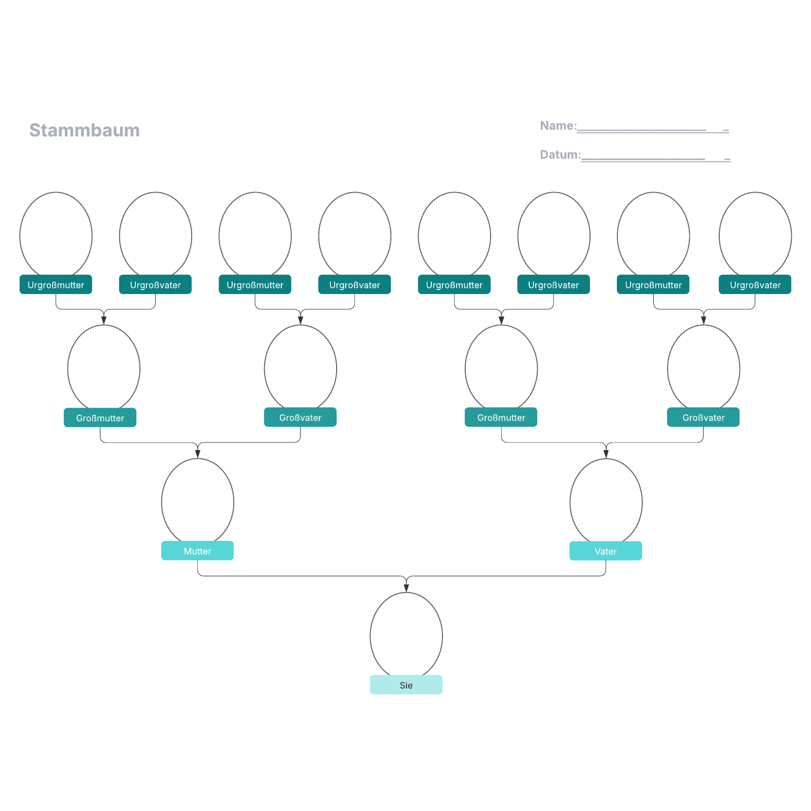 Stammbaum Vorlage | Lucidchart