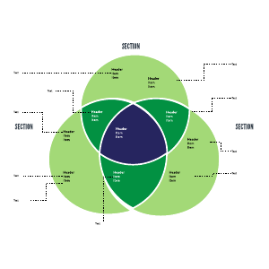 3 Circle Venn Diagram