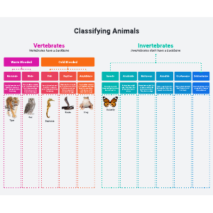 Classifying animals